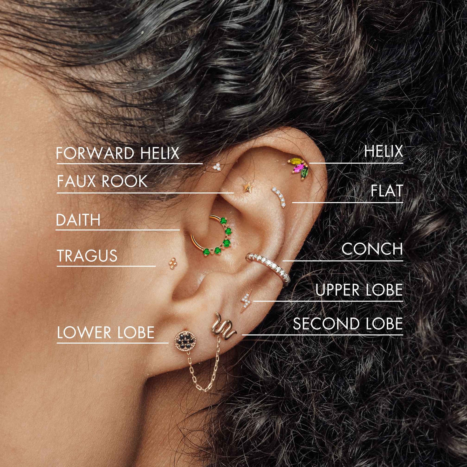 Comprehensive Ear Piercing Chart – Types & Placement Guide | Nina Wynn
